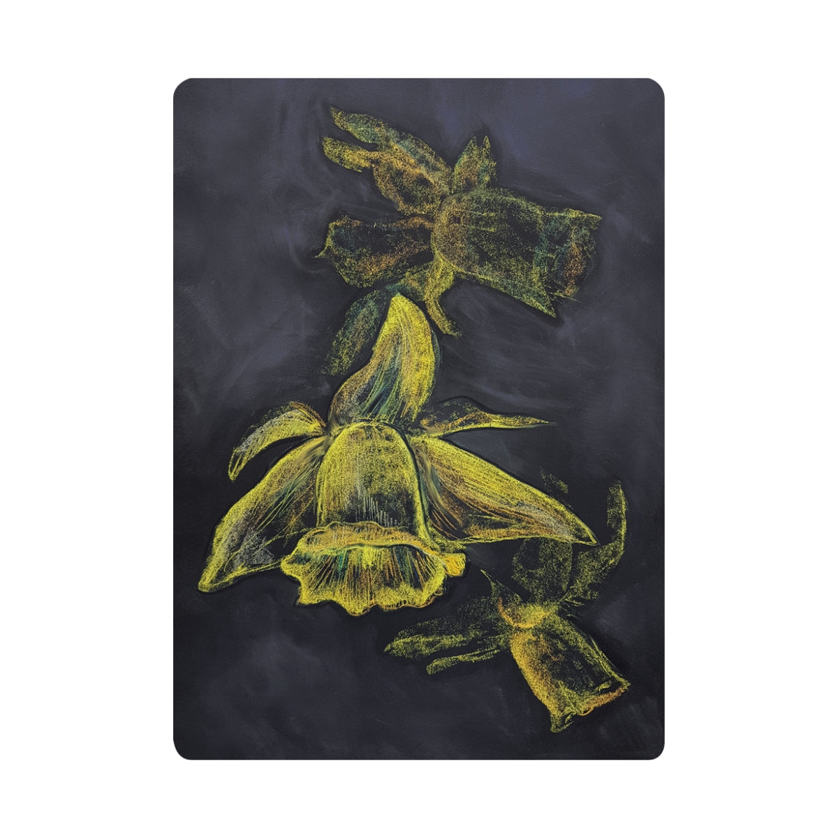 Chalkboard Art Cards Daffodil Wholesale in Australia — Mercurius