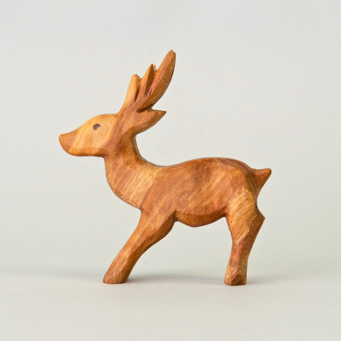 Predan Deer Roebuck - Mercurius Australia