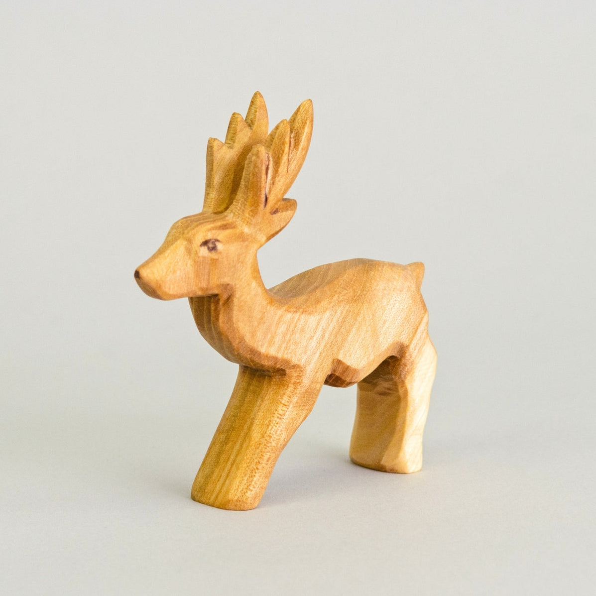 Predan Deer Roebuck - Mercurius Australia