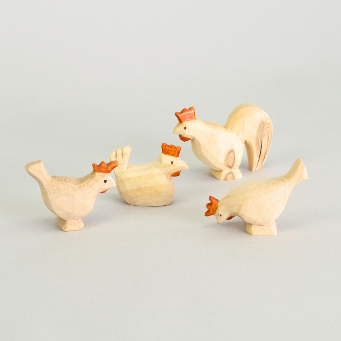 Predan Rooster - Mercurius Australia